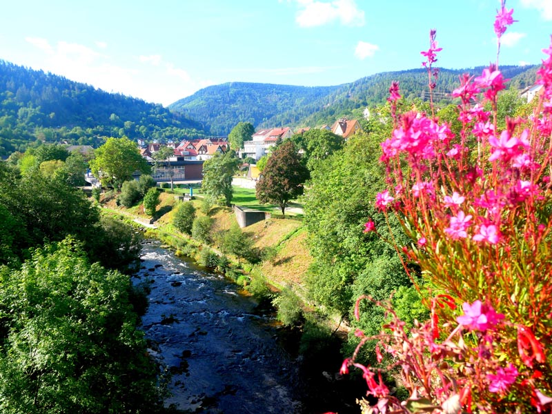 Murgleiter 3. Etappe Forbach - Schönmünzach