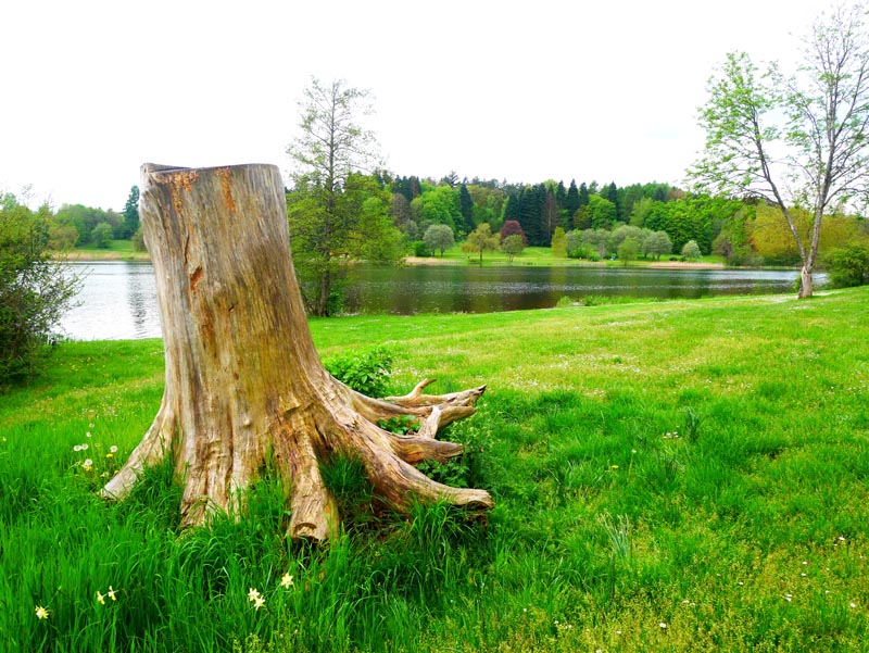 Stausee-Tafeltour - Losheim am See